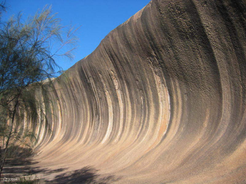 7D6N Pink Lake, Kalbarri, Wave Rock & Rottnest Island Tour - Klook ...