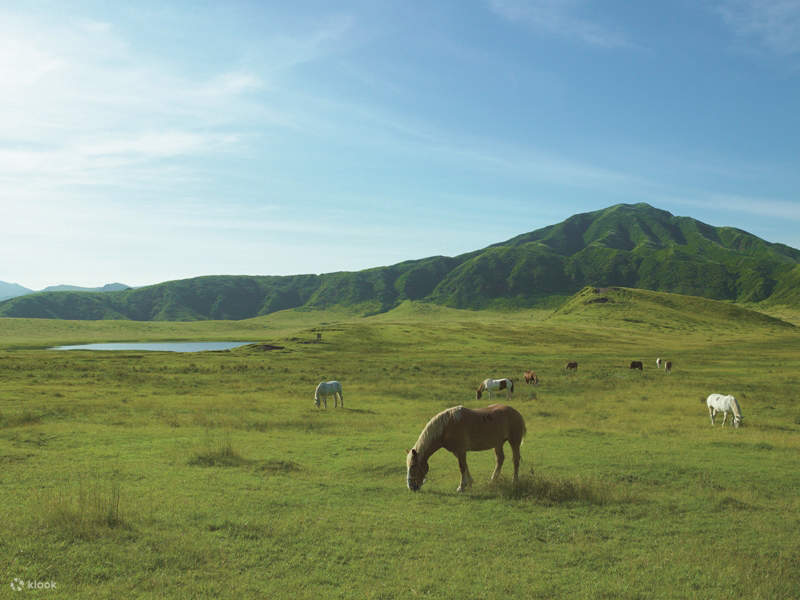 Online Booking for Kusasenri & Mount Aso Day Trip Tour - Klook Singapore