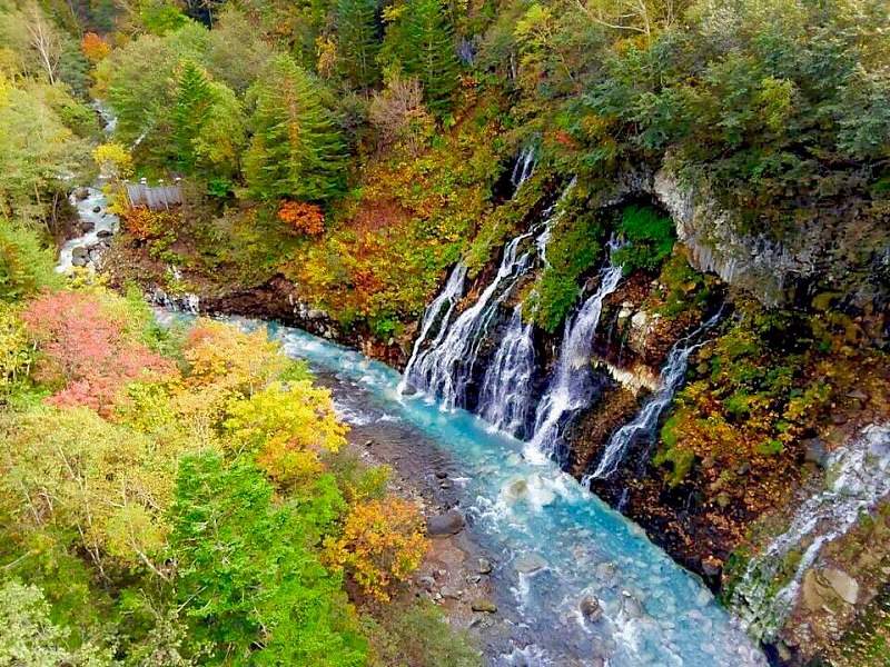 Book Hokkaido Day Tour to Asahiyama Zoo, Shirogane Blue Pond & more ...