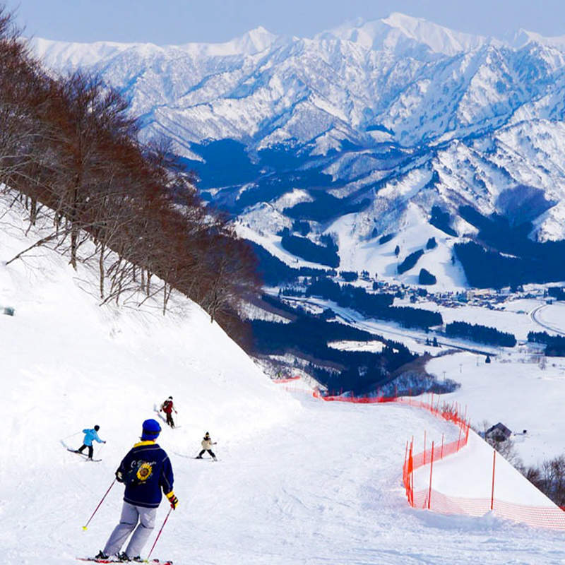 Yuzawa Iwahara Ski Resort Snow Play & Skiing Day Trip - Klook Australia