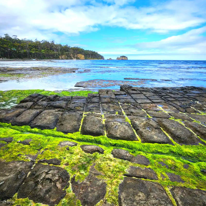 Tur Empat Keajaiban Sehari: Tasmania, Hobart, Port Arthur, Semenanjung ...