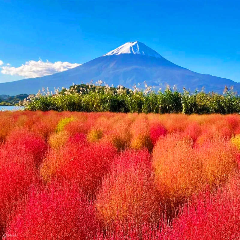 Kawaguchiko and Yamanakako Onsen on a 1-Day Bus Tour from Tokyo - Klook ...