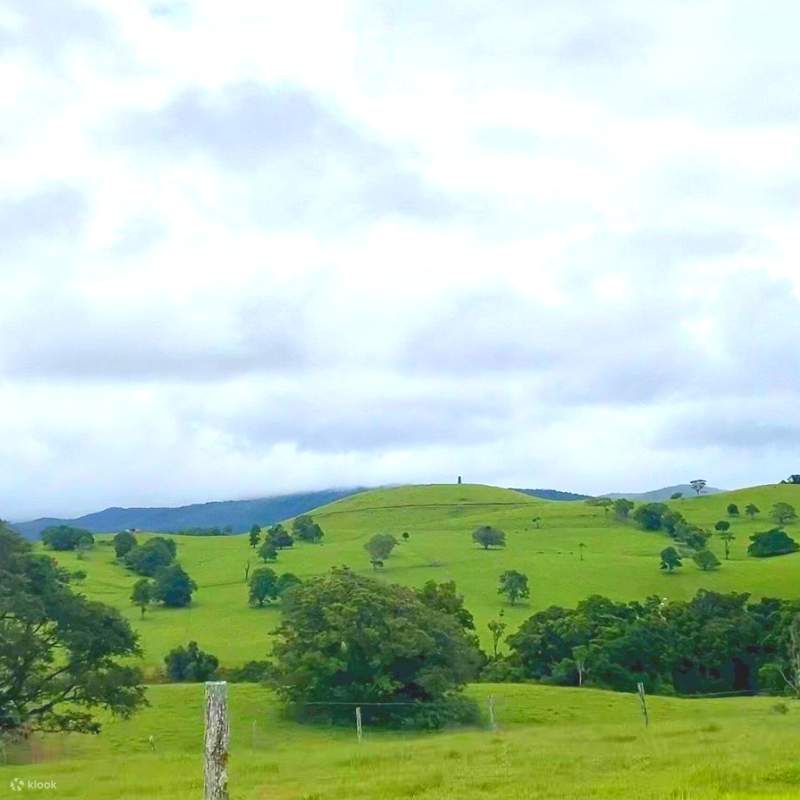 Cairns Kangaroo Valley & Paronella Park Sky City Day Trip - Klook Hong Kong
