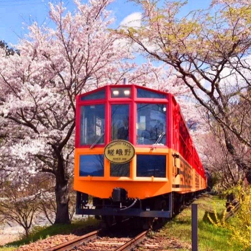 Kyoto Kinkaku-ji Temple & Spring Cherry Blossom Illumination Arashiyama ...