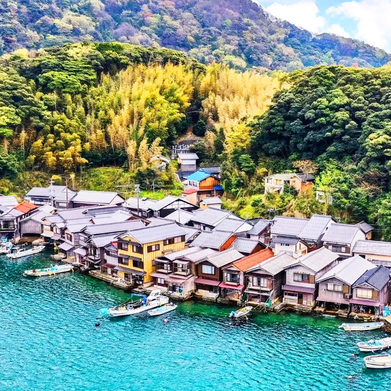 Sea of Kyoto & Amanohashidate View Land & Chion-ji Temple/Monju-do Hall & Ine Funaya (Boat ...