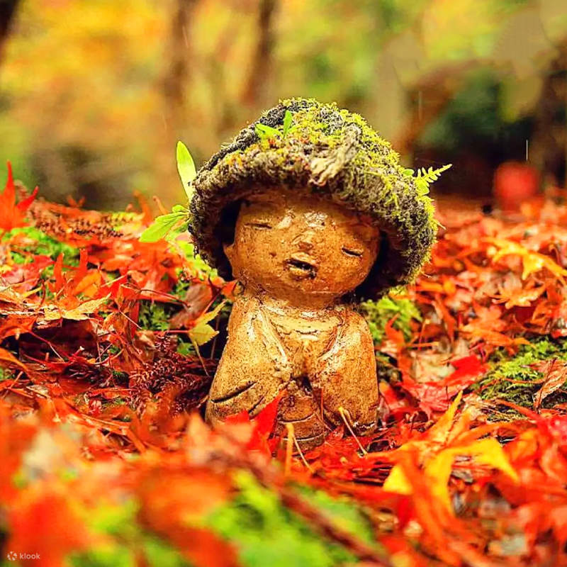 Kyoto Sanzen-in Temple & Arashiyama Train & Sagano Bamboo Forest Trail ...