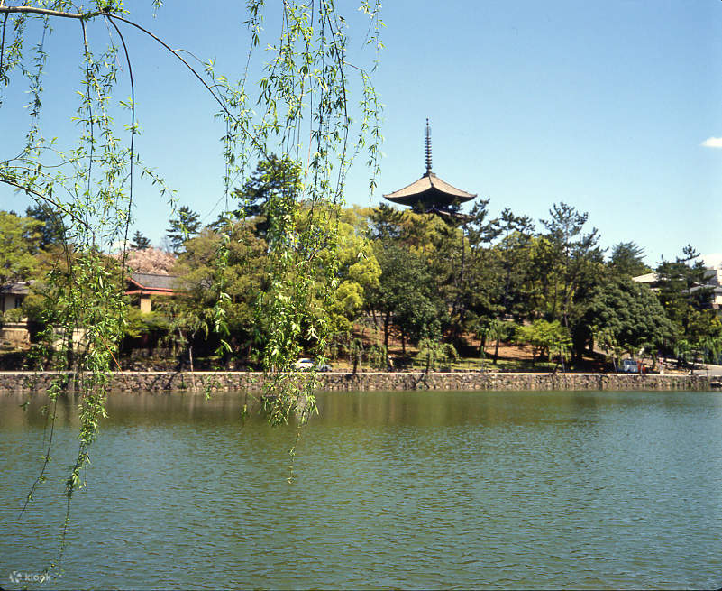 Nara City, Todaiji, Kasuga Taisha, & Kofukuji Half Day Tour - Klook ...