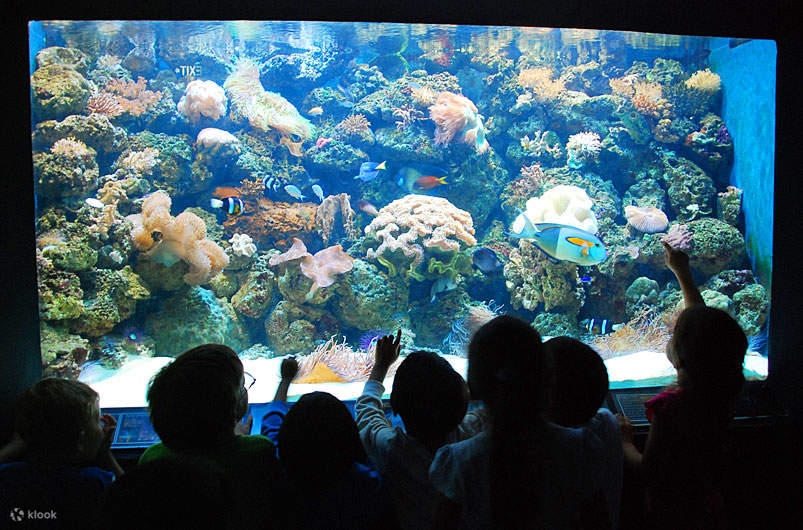 Ocean Adventure Ticket in Subic Bay - Klook Philippines