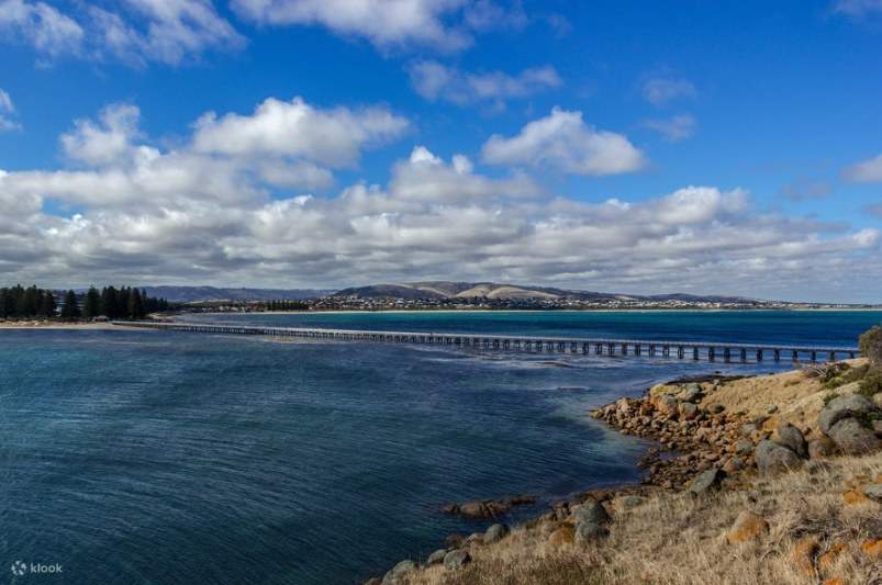 1-Day Fleurieu Peninsula 4WD Eco Safari Tour - Klook
