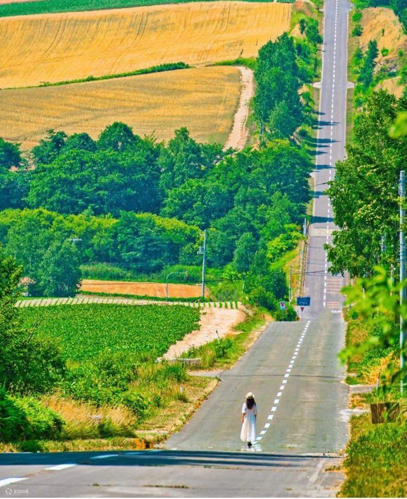 Furano & Biei Blue Pond & Shikisai no Oka Day Tour - Klook Singapore