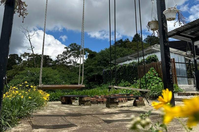 Glamping Experience by The Backyard Glamping Cameron Highlands - Klook ...