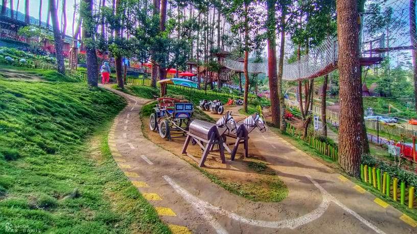 The Lawu Park Ticket in Yogyakarta - Klook United Kingdom