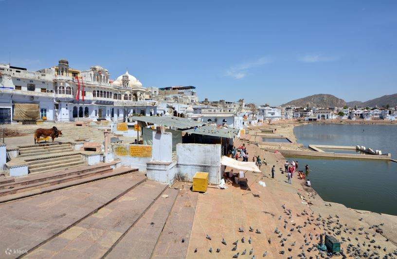 Tur Jalan Kaki Ghats Bersejarah di Pushkar, India - Klook Indonesia