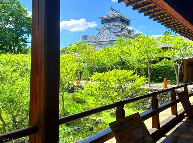Kitakyushu Fukuoka Wisteria Flower One-Day Tour | Kawachi Wisteria ...