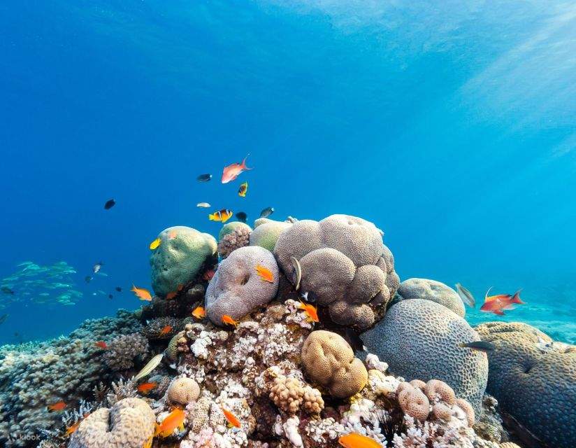 Explore the Beauty of Dahab and Canyon on an Overnight Safari from ...