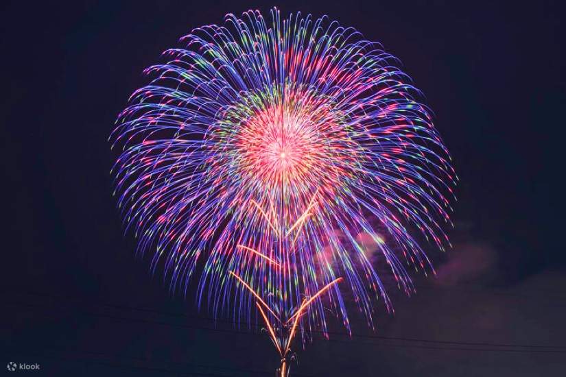 38th Yatsushiro National Fireworks Competition Day Tour (Depart from ...