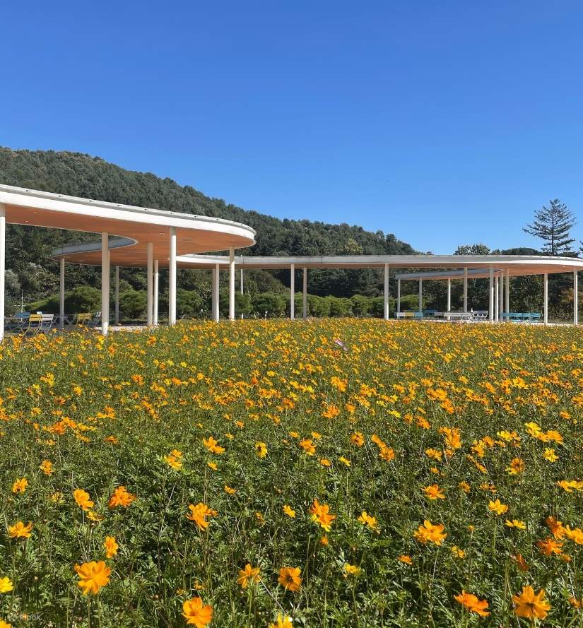 Beautiful Countryside 4 Seasons Day Tour from Seoul - Klook United Kingdom