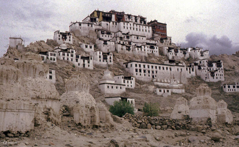 Full Day Leh Monastery Tour - Klook United States