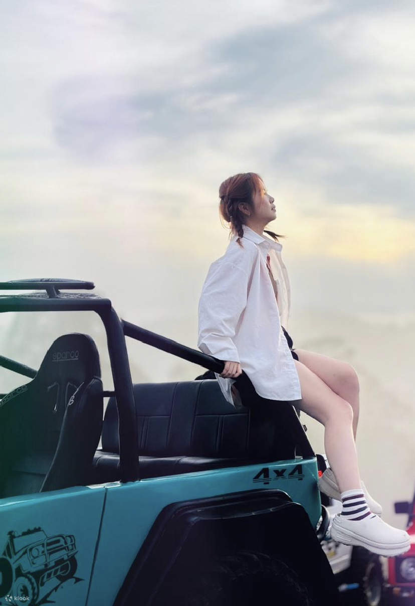 Black Lava Volcano and Black Sand Private Day Trip from Bali - Klook