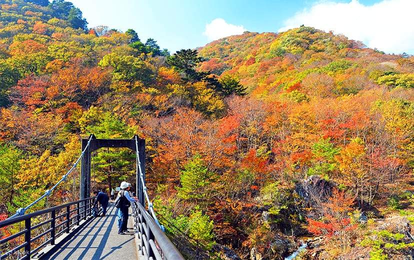 [Autumn Ryuo-kyo Gorge Day Hike] Kinugawa Grand Suspension Bridge ...