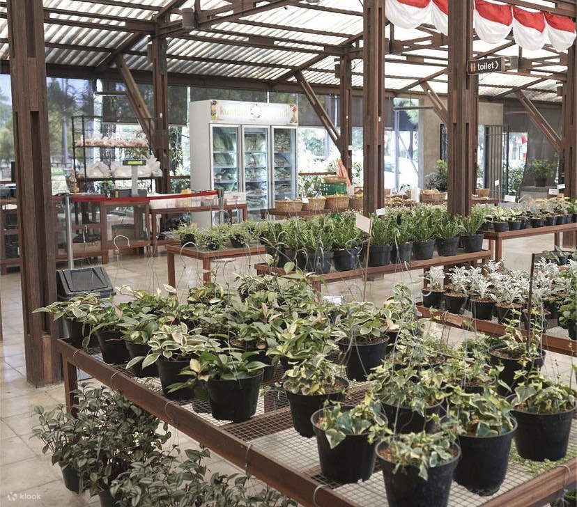 Kuntum Farmfield Ticket in Bogor - Klook