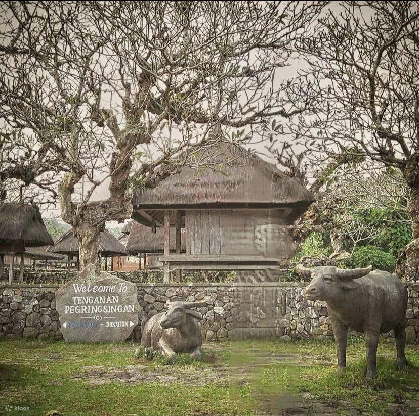 Tur Sehari ke Blue Lagoon Snorkeling dan Desa Tenganan - Klook Indonesia