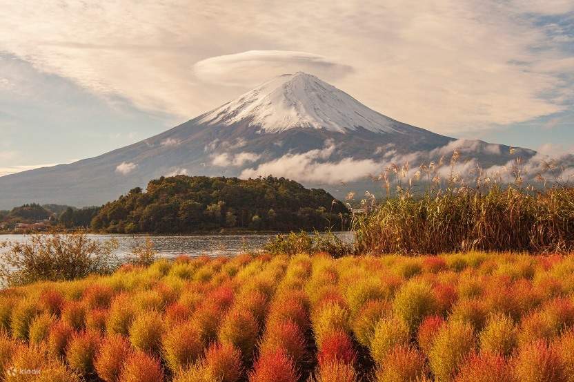 Tour di un giorno alla Grotta di ghiaccio del Monte Fuji e al Campo ...