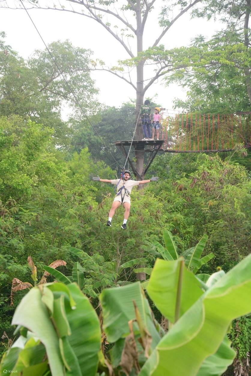Zipline at Pattaya Tarzan Extreme Park in Pattaya, Thailand - Klook