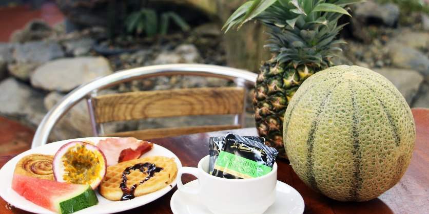 Wildlife Habitat Breakfast With The Birds in Port Douglas - Klook