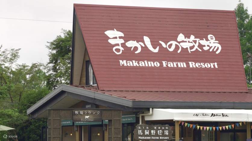 富士山亲子人气打卡自然体验一日游 大石公园&Lawson便利店&马饲野牧场（ 东京出发） - Klook客路