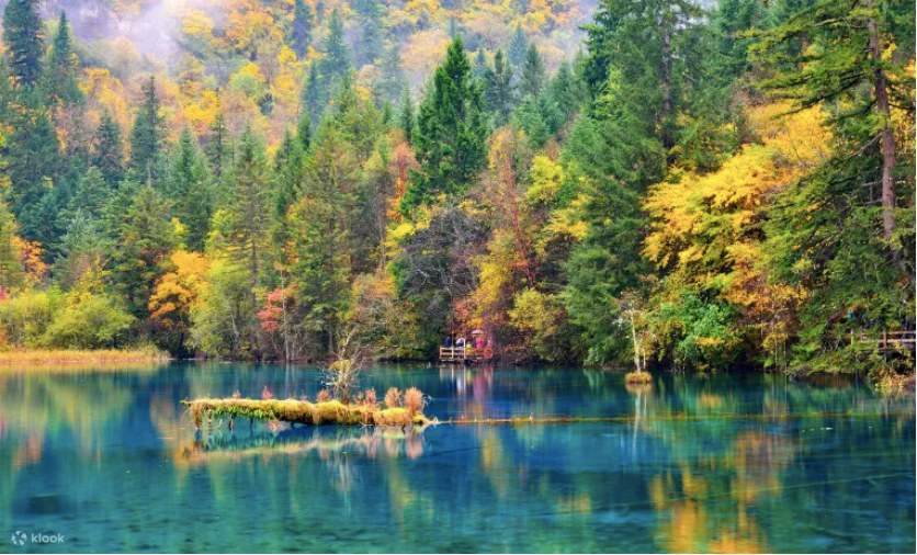 Sichuan Jiuzhaigou Huanglong High-speed Train Round Trip 3-Day Group ...