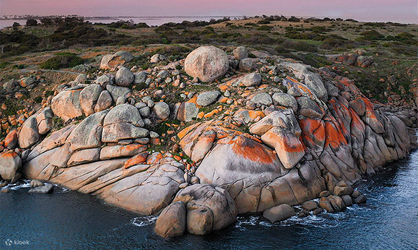 Fleurieu Peninsula One Day Tour - Klook United States