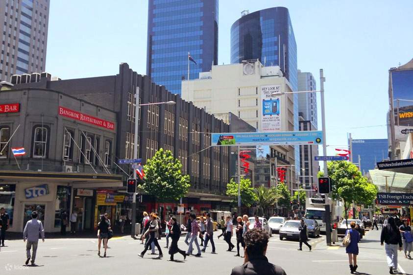 Discover Auckland City Tour The City of Sails - Klook