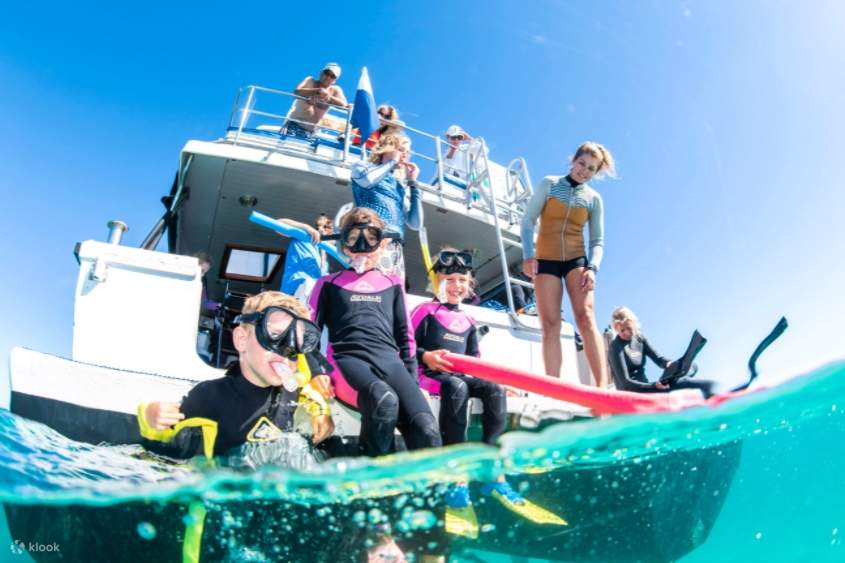 3-Hour Turtle Eco Tour in Coral Bay - Klook