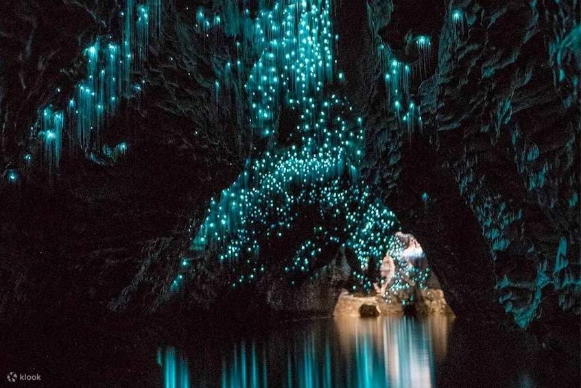 Hobbiton and Waitomo Caves Day Tour Including Lunch from Auckland - Klook