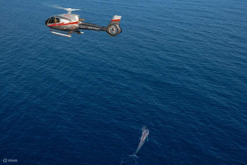 Coastal California Helicopter Experience - Klook