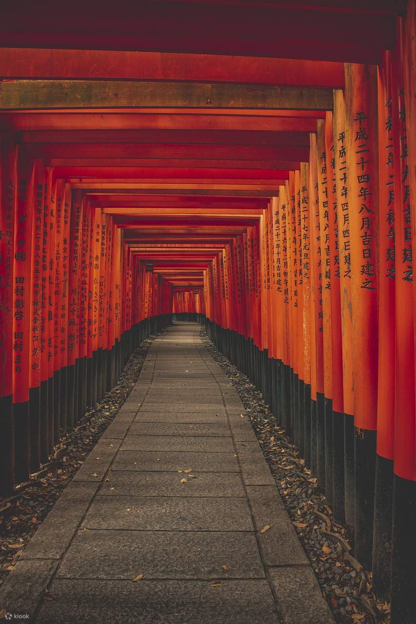 Arashiyama, Nara Park, and Fushimi Inari Shrine Day Tour (From Osaka ...