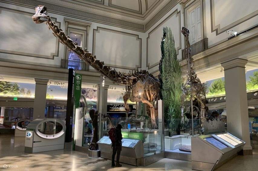 Smithsonian National Museum of Natural History Tour - Klook