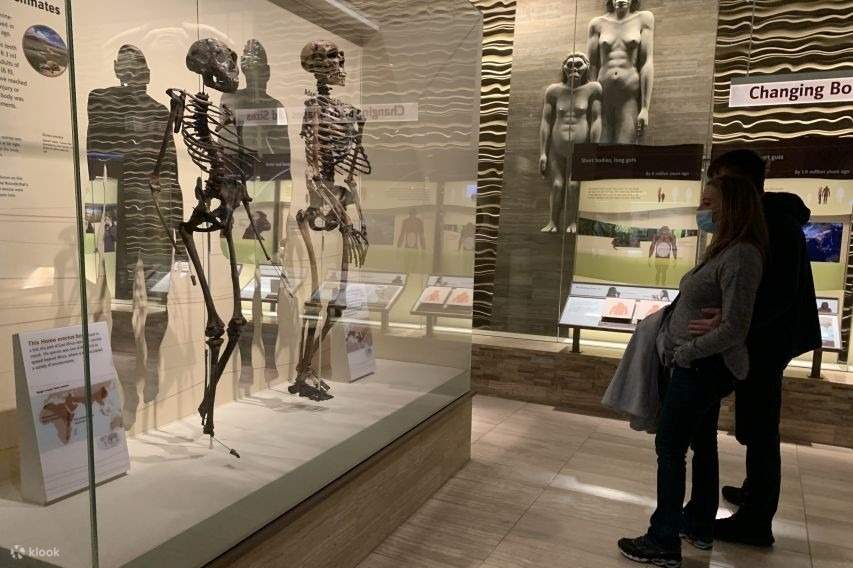 Smithsonian National Museum of Natural History Tour - Klook