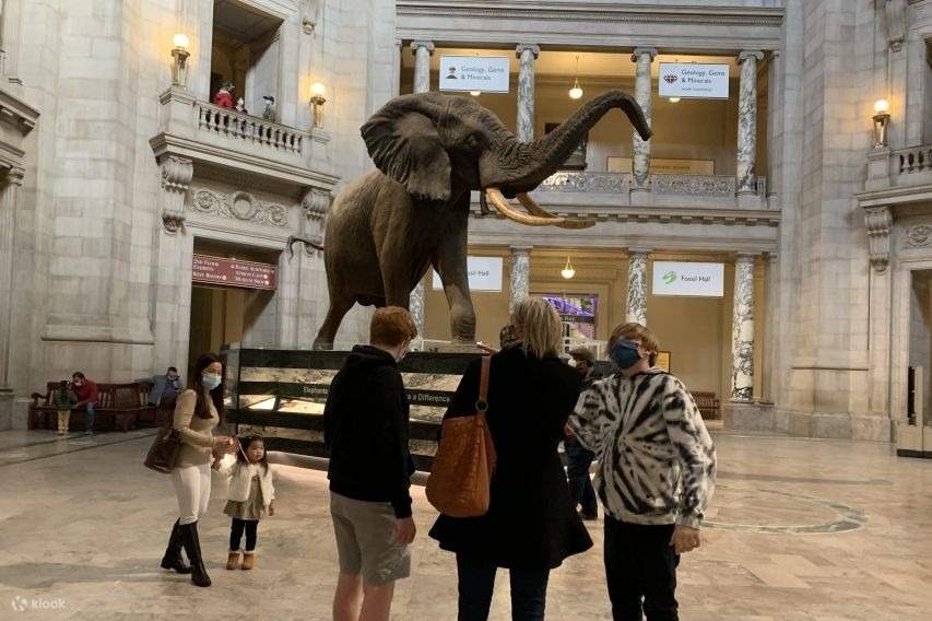 Smithsonian National Museum of Natural History Tour - Klook