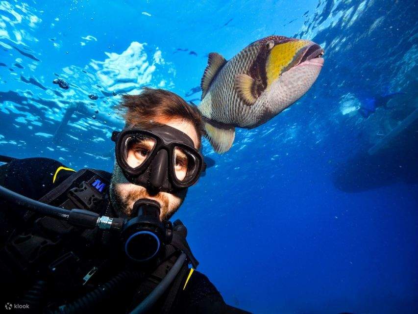 Sharm: Ras Mohamed Diving Boat Trip with Private Transfers - Klook
