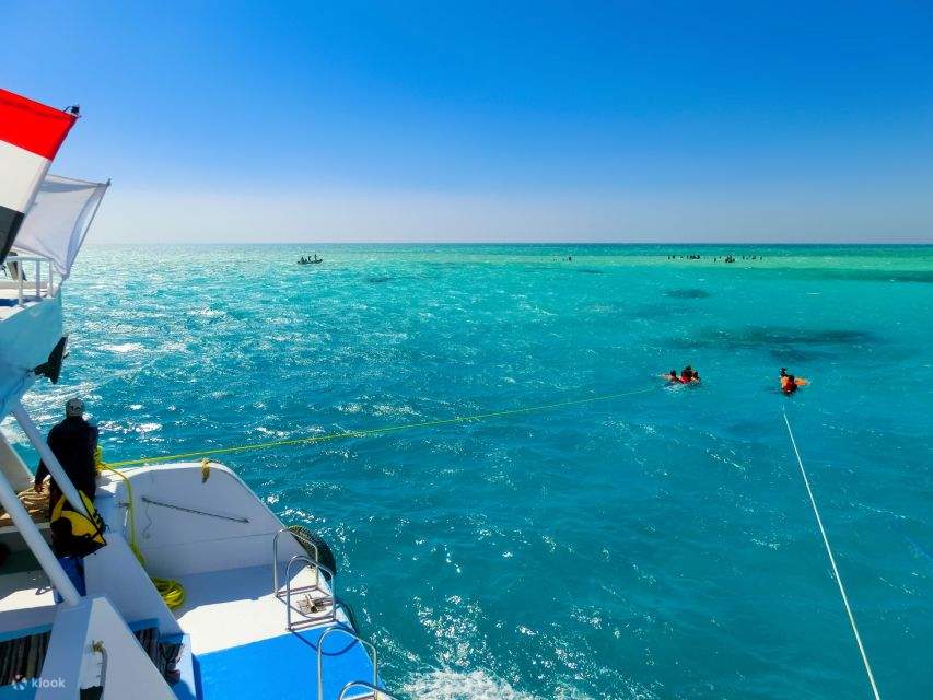 Discover the Majestic Dolphins of the Red Sea: Hurghada Dolphin ...