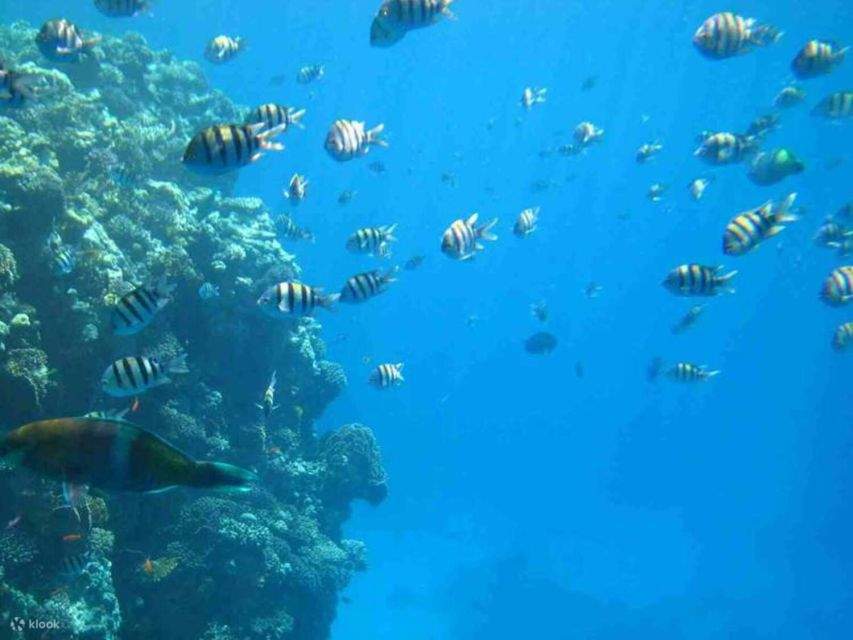 Safaga Semi-Submarine with Private ATV & City Tour: Explore the Red Sea ...