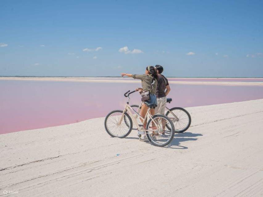 Coloradas Pink Lagoon & Rio Lagartos Boat Tour in Mexico - Klook
