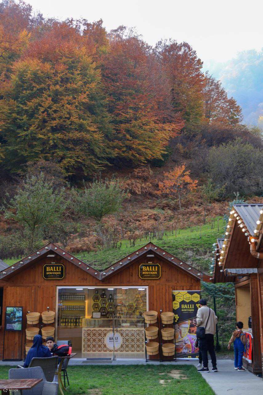 Explore Gabala and Samakhi with a Captivating Tour - Klook India