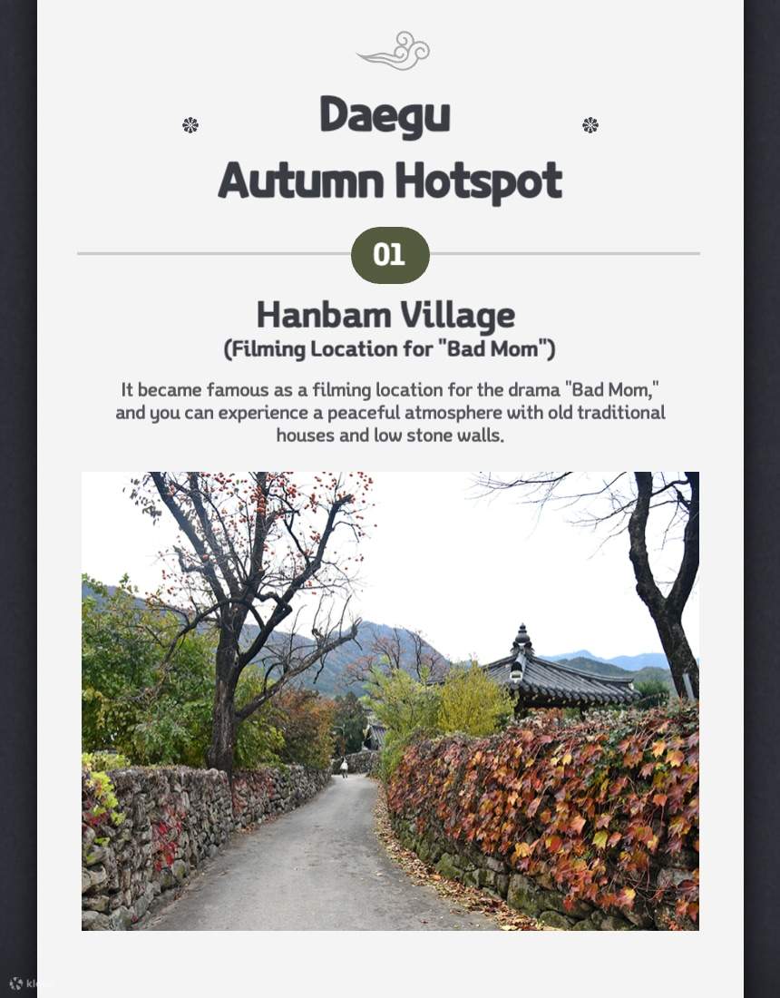 Autumn K-Trip with Fly2Gether from Daegu - Klook