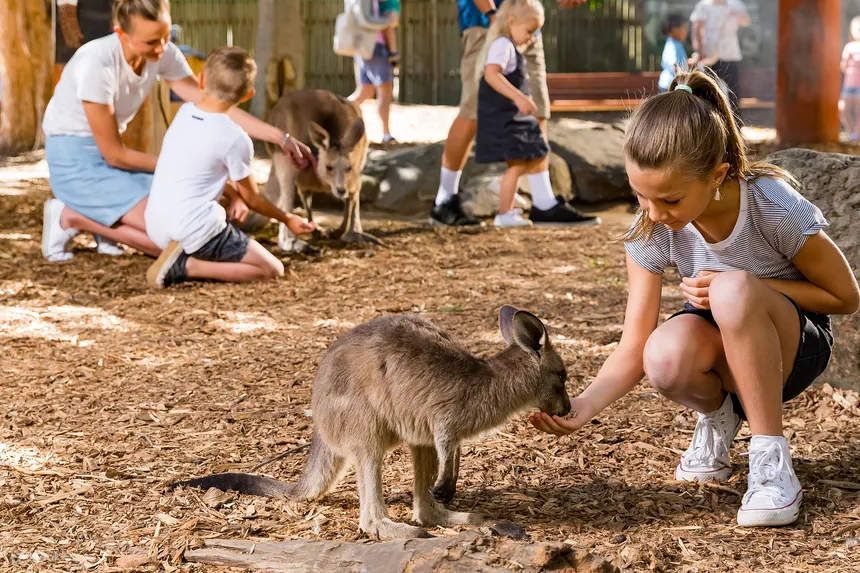 Dreamworld Gold Coast Ticket - Klook Australia