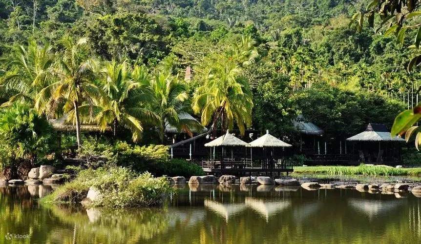 Private Day Tour of Yanuoda Rainforest Cultural Tourism Zone, Sanya ...