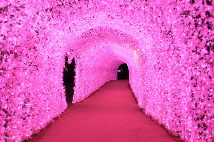 Starlight Festival of the Garden of Morning Calm - Klook