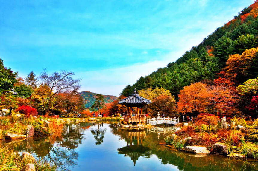 Seoul to Gangwon-do and Gyeonggi-do - Klook Philippines